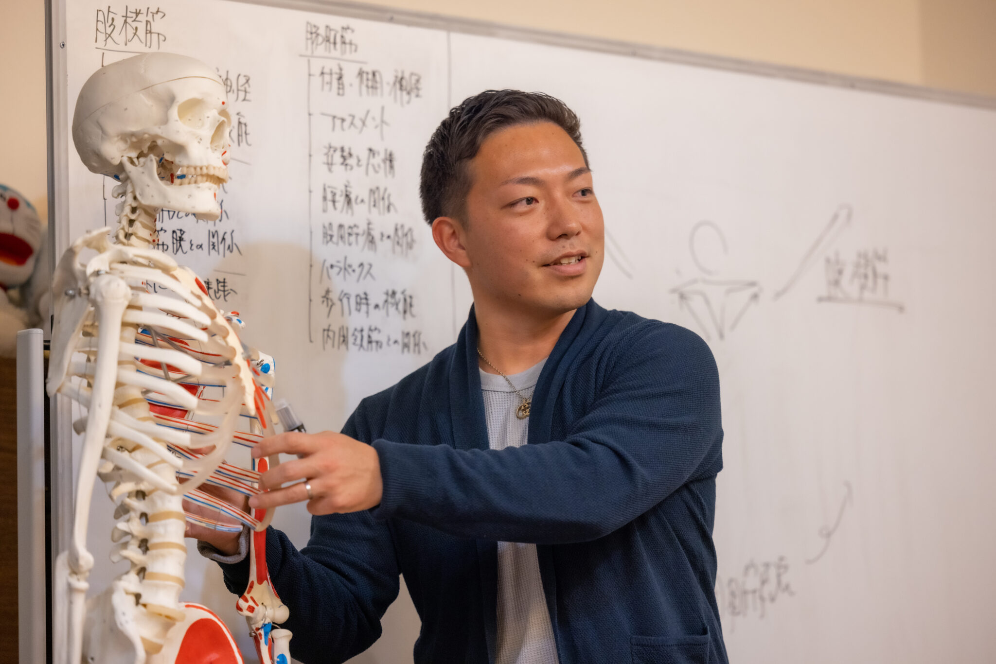 頸部アライメントと自律神経 | ANFIDA ANATOMY