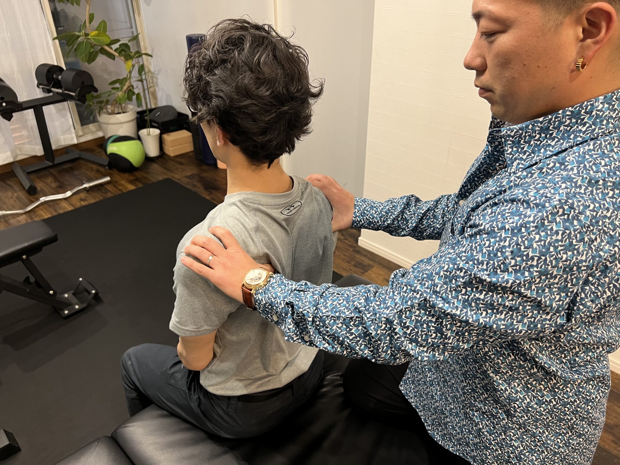 肩峰下関節における慢性痛について | ANFIDA ANATOMY