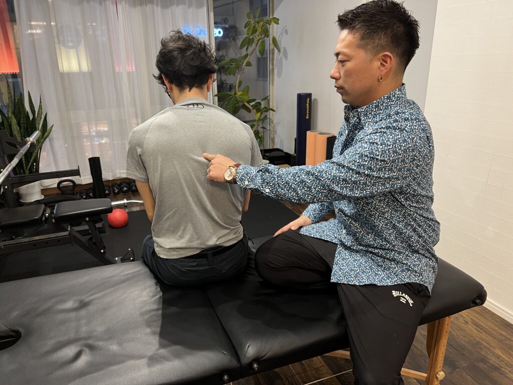 2025年11月更新：猫背を解剖学的にひも解く | ANFIDA ANATOMY